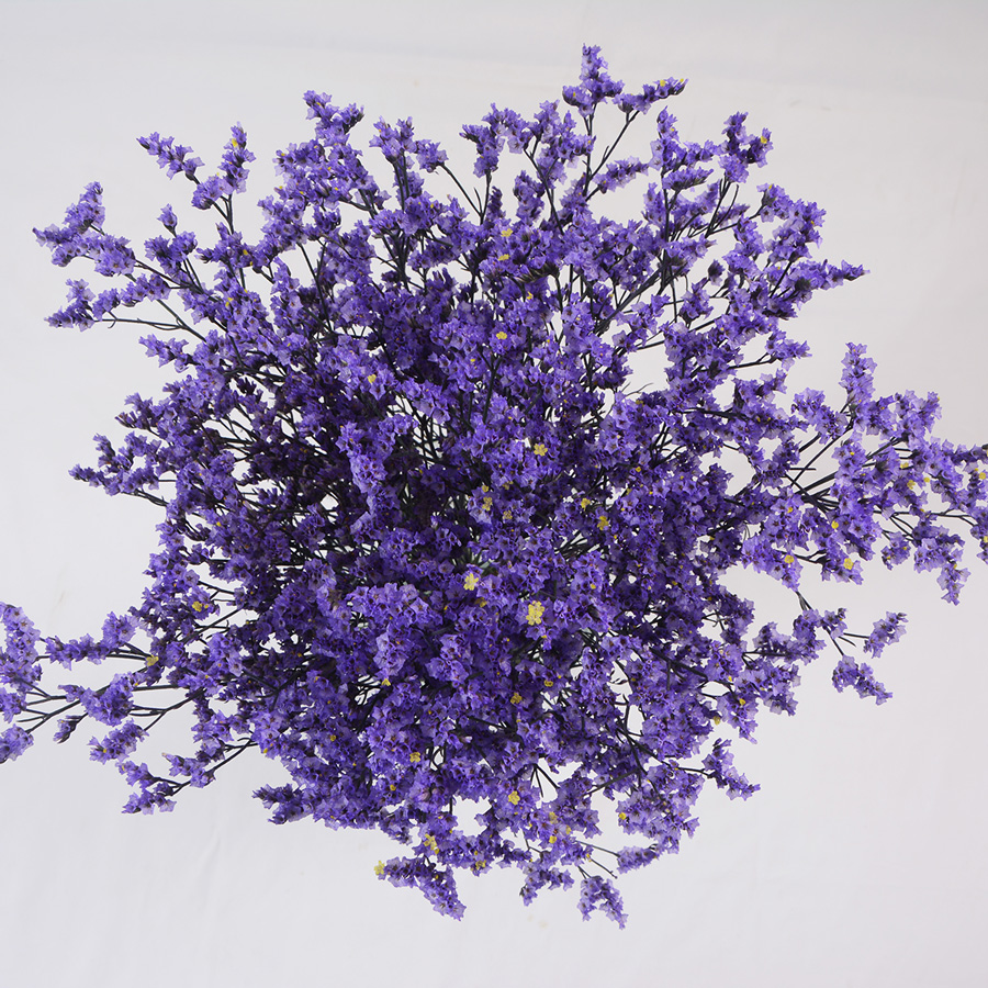 Diamond Tinted Purple | Premium Flowers