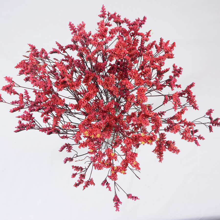 Diamond Tinted Red | Premium Flowers